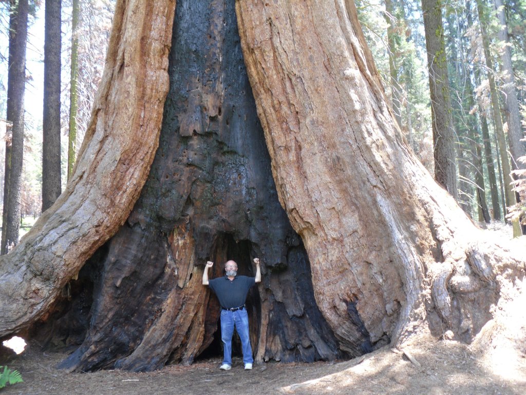 Sequoia National Park – una din minunățiile Americii – Barzilaiendan