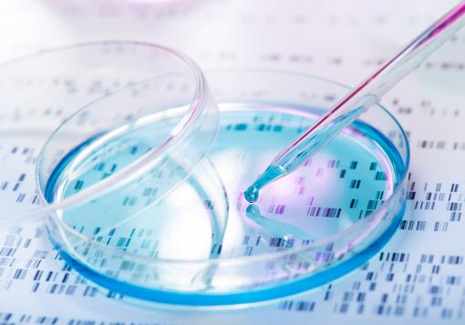 DNA reveals God’s coded messages – Science & Tech – WORLD – Barzilaiendan