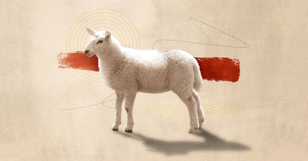 Jesus, Our Substitute – Barzilaiendan